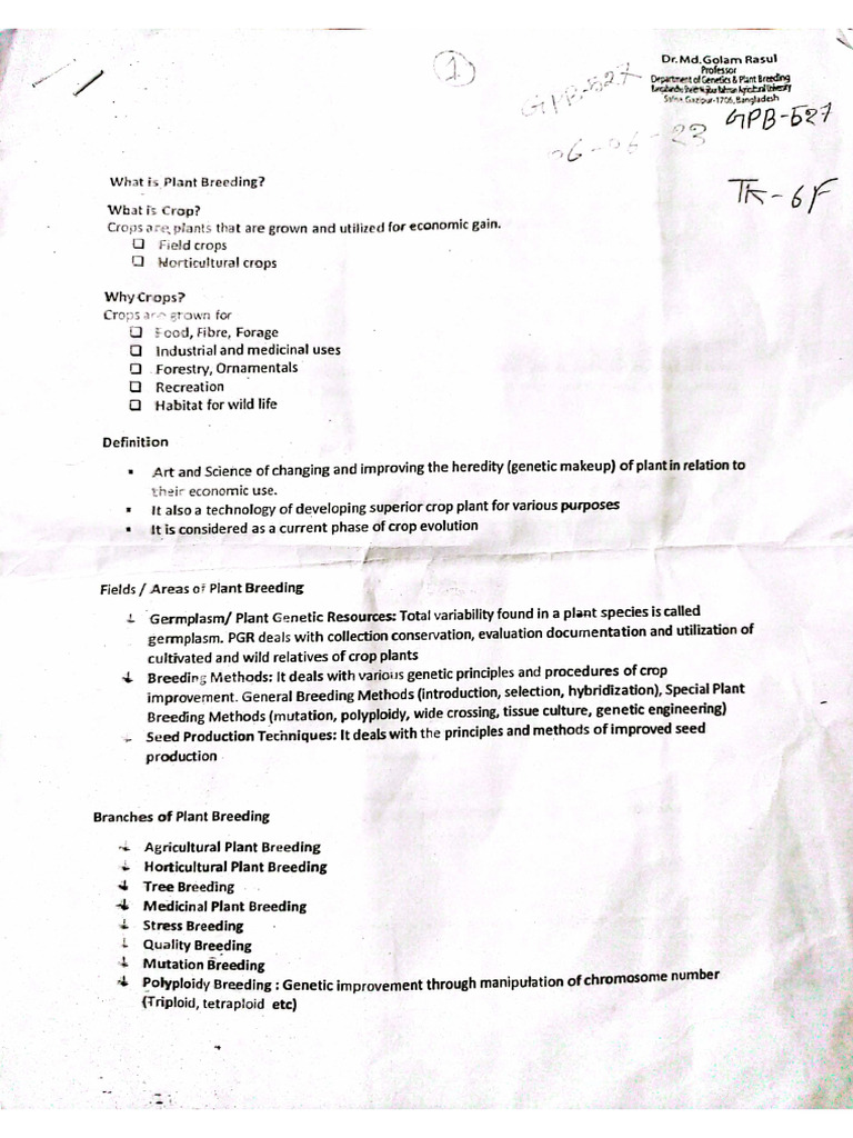 GPB 527 1st Mid | PDF