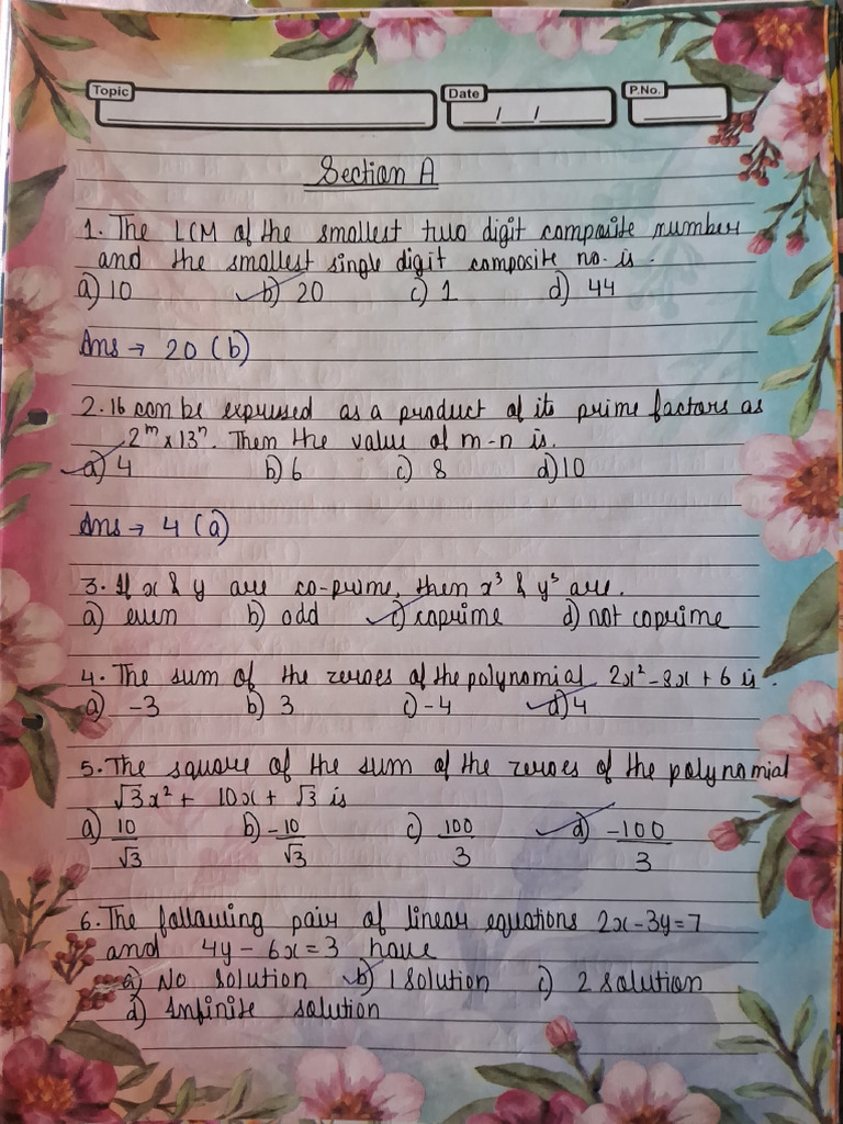 Maths - Portfolio - PV ?? | PDF