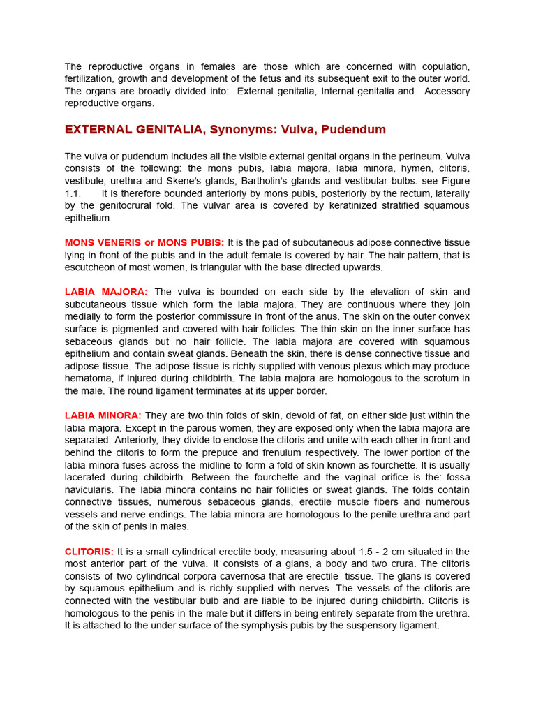 Anatomy of Female Reproductive Organs - 1 | PDF | Labia | Clitoris