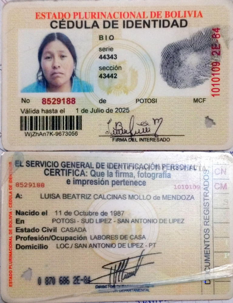 Cédula de Identidad de Bolivia 2025 | PDF