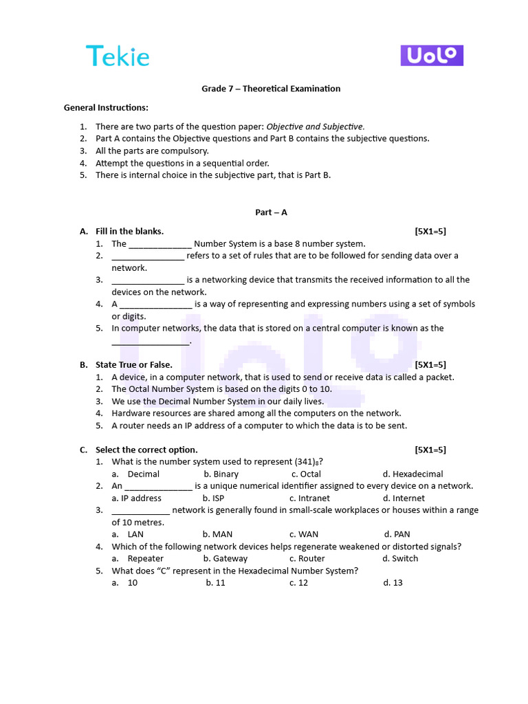 Grade 7 CBSE Question Paper | PDF | Computer Network | Computer Science