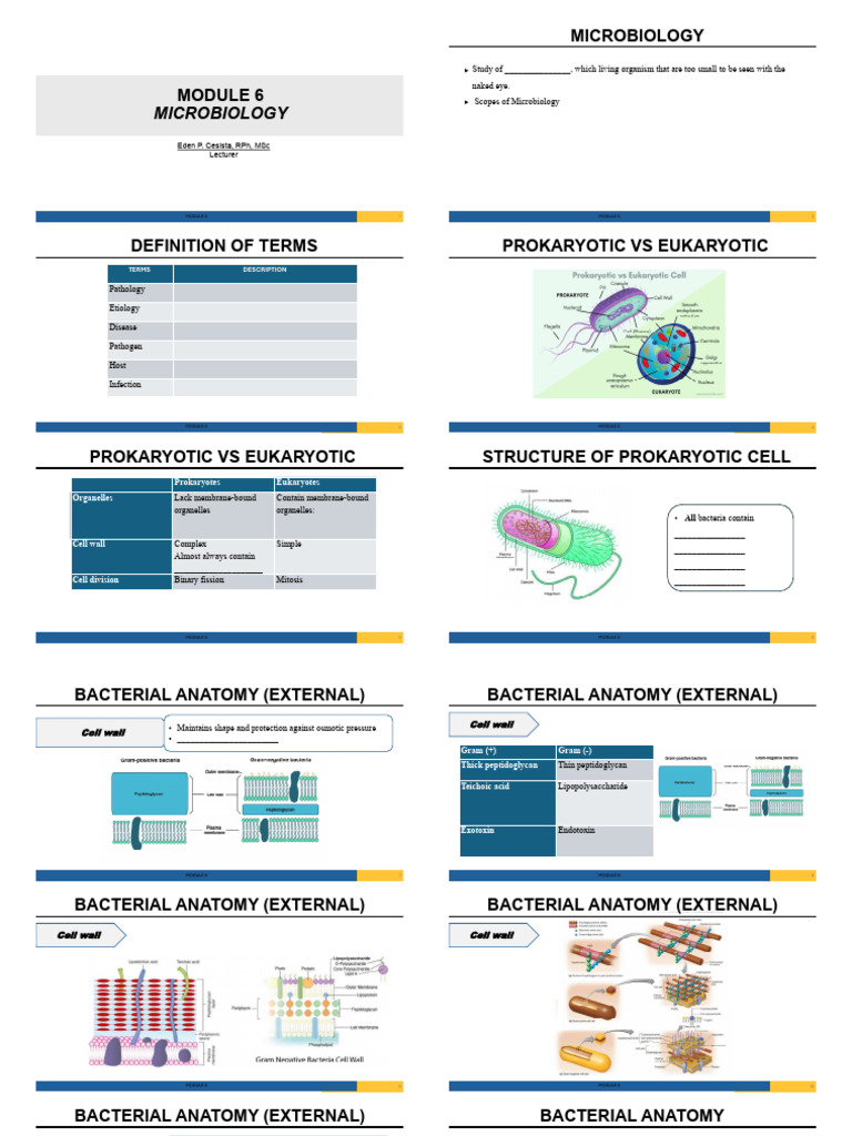 Day1 Handout Microbiology | PDF | Staining | Streptococcus