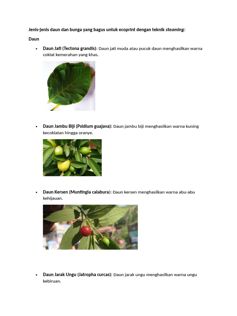 Daun dan Bunga Terbaik untuk Ecoprint | PDF