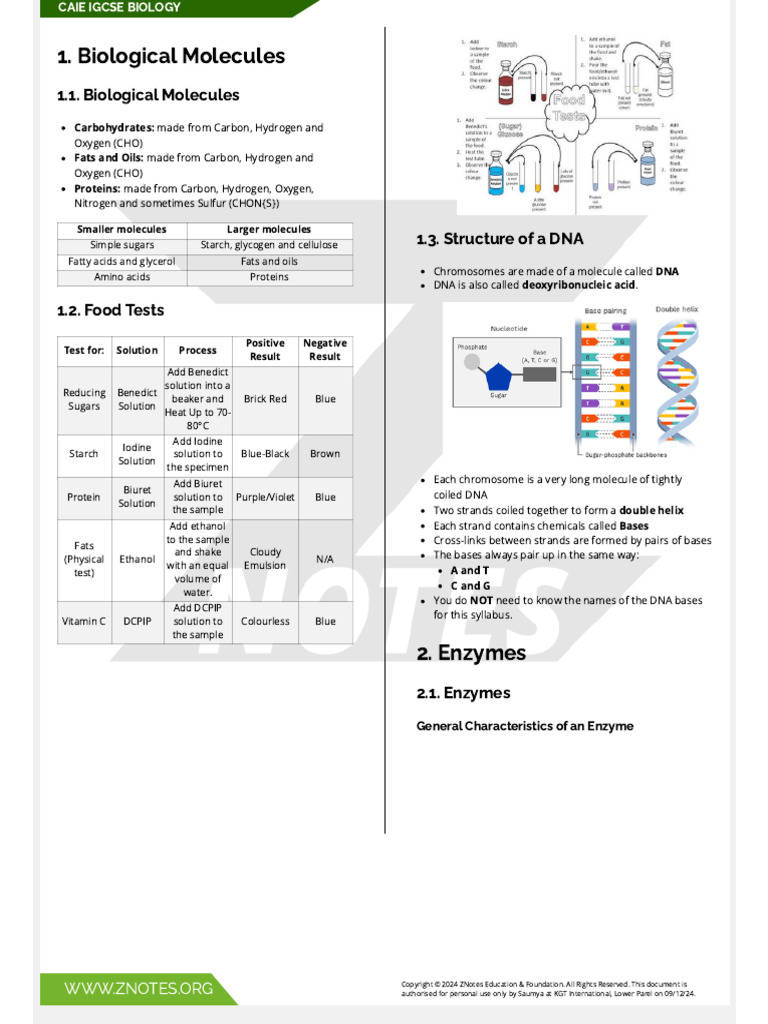 CAIE IGCSE Biology Theory | PDF | Enzyme | Agriculture