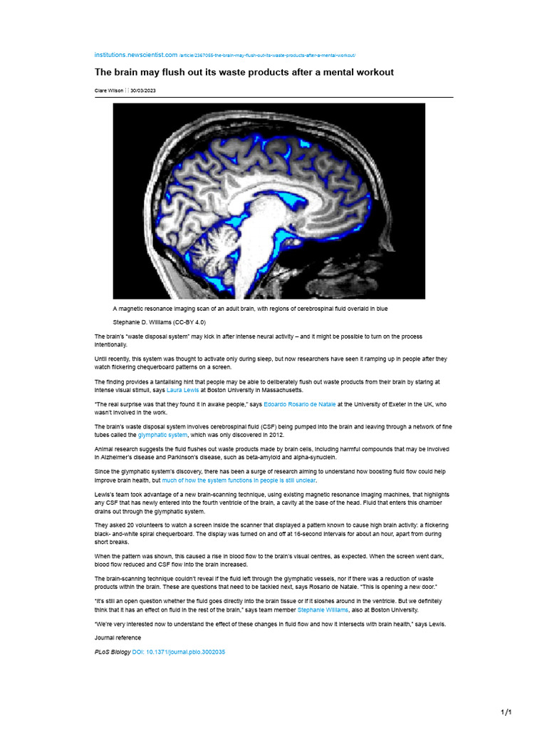 Brain Health: New Waste Disposal Insights | PDF | Brain | Cerebrospinal ...