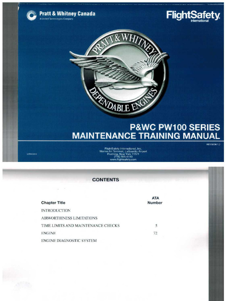 P&W 100 Series | PDF