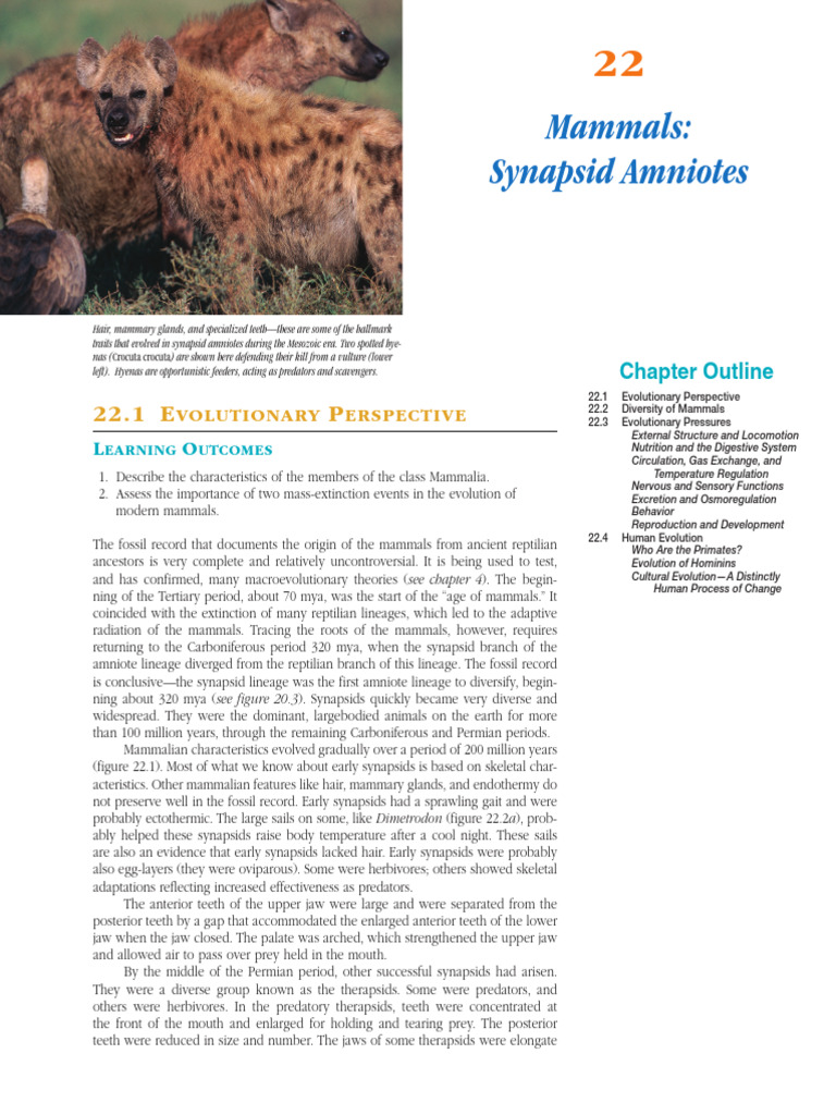 MAMMALS MILLER | PDF | Mammals | Tooth