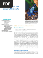 Axolotl Taxonomy | PDF