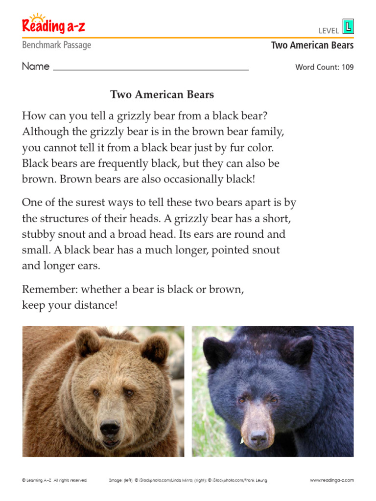 Two American Bears LVL L Passage | PDF