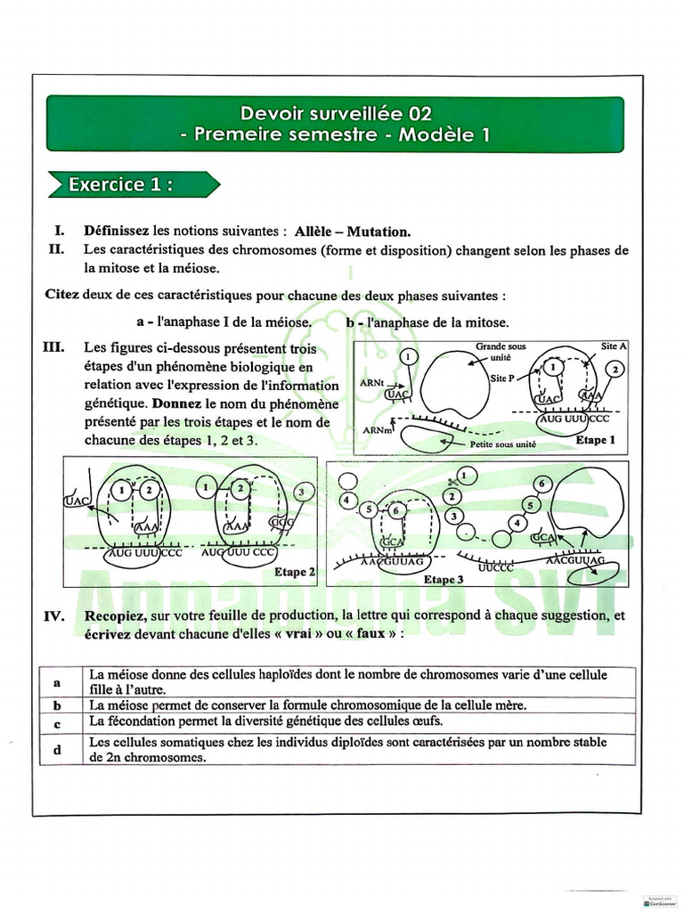 Correction Contrôle 1 Génétique | PDF