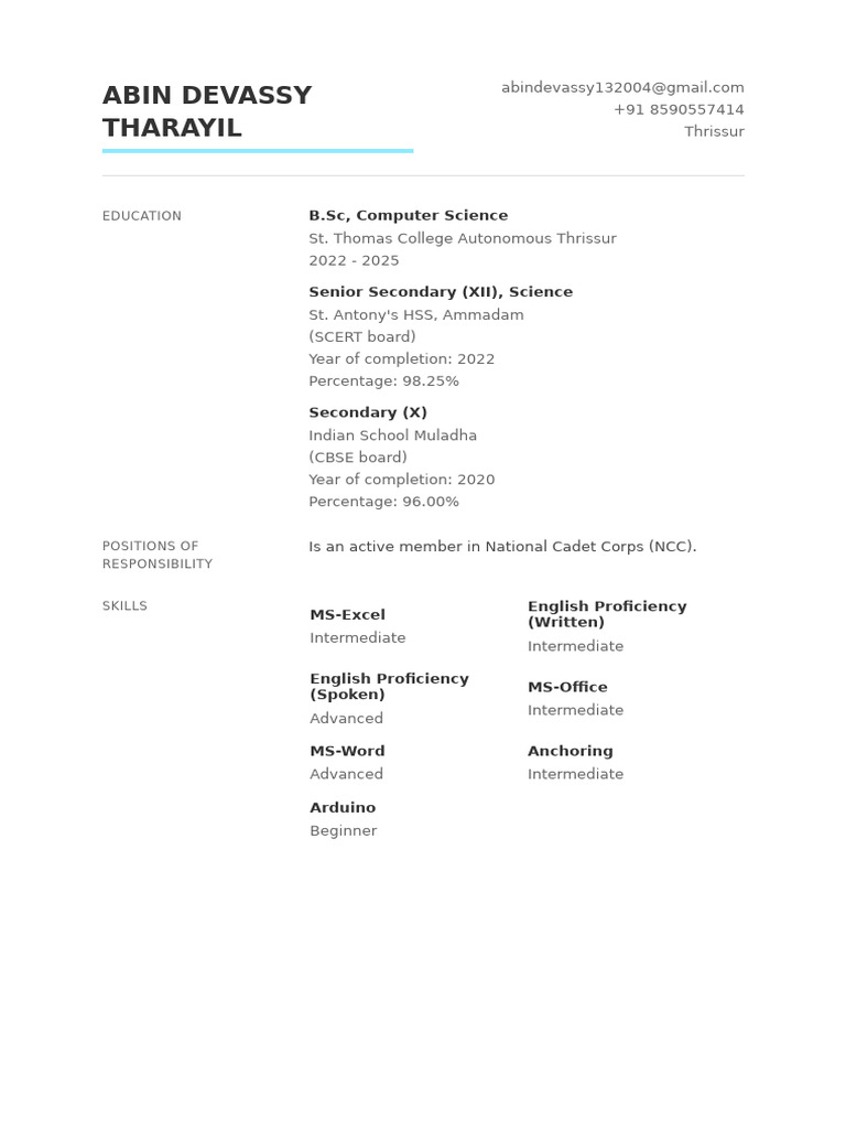 Resume AbinDT | PDF