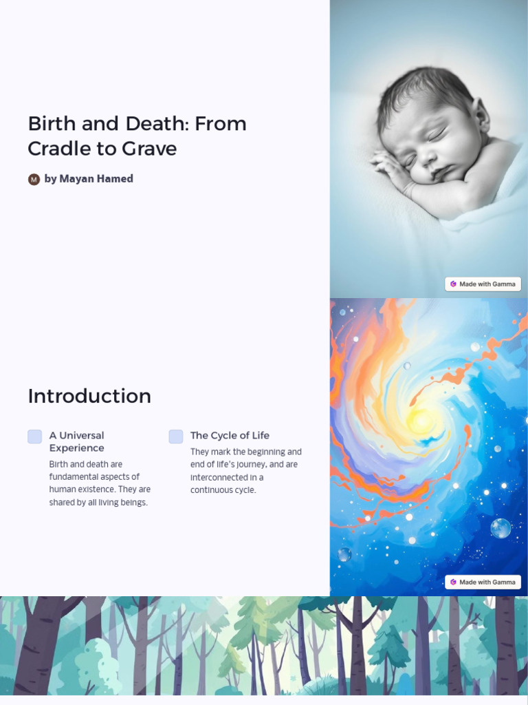 Life's Journey: Birth to Death Explained | PDF | Happiness | Human ...