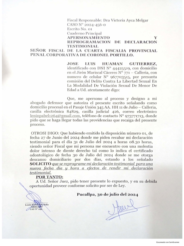 Apersonamiento y Reprogramacion | PDF