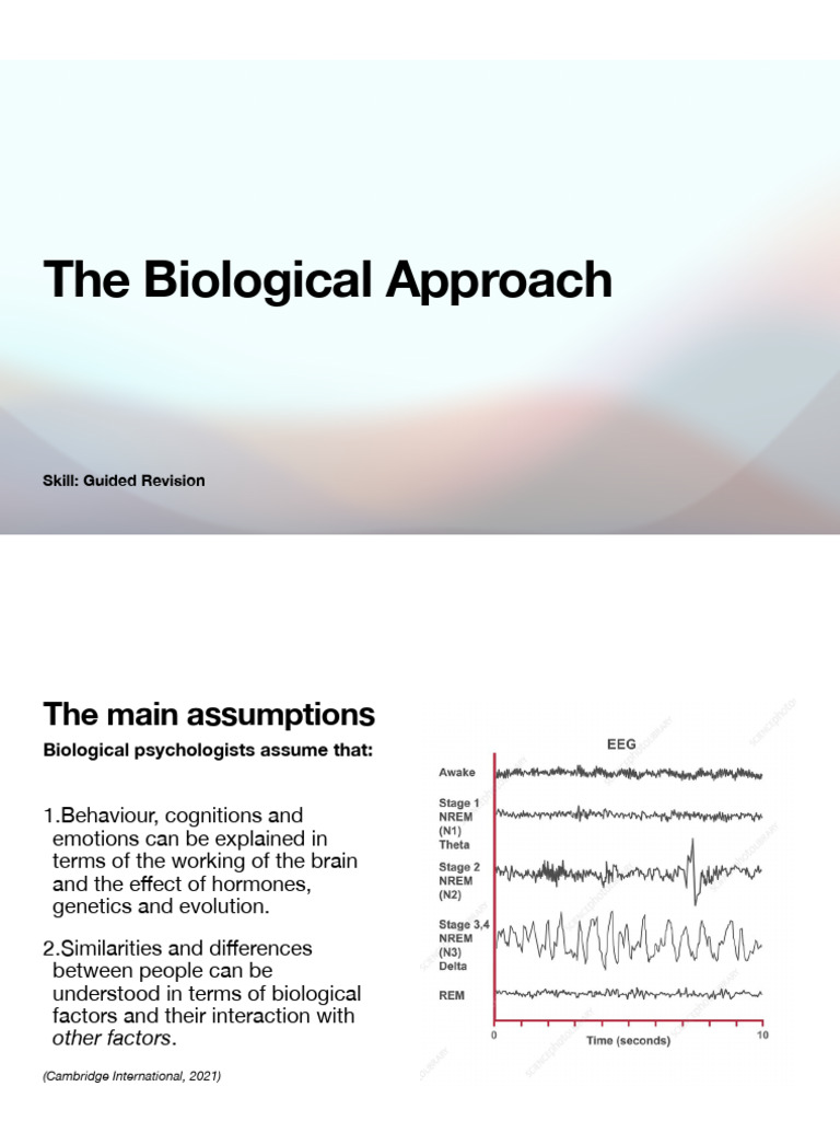 1.1 Dement and Kleitman - Presentation | PDF