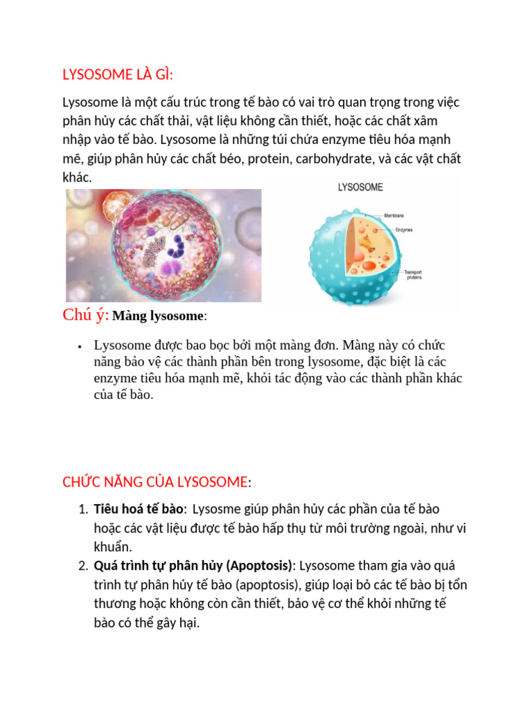 LYSOSOME | PDF