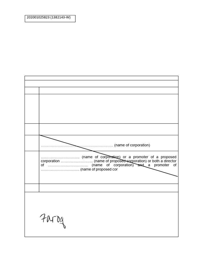 Director Appointment Declaration | PDF