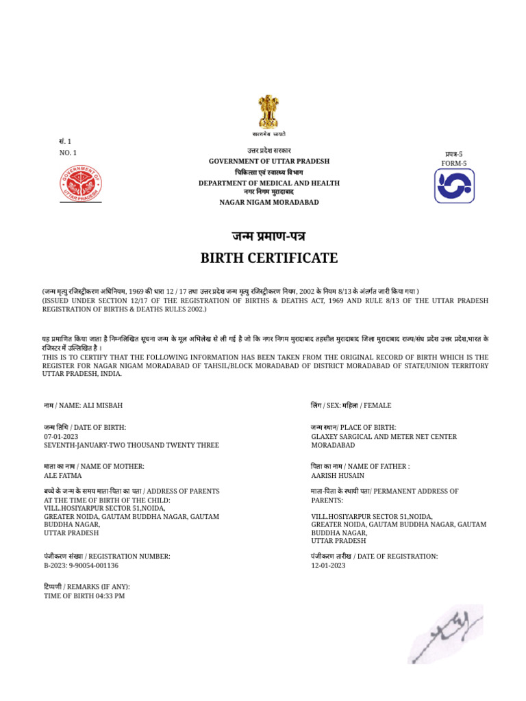 Civil Registration System | PDF