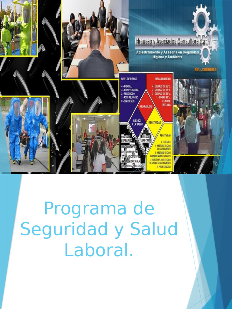 Progarma de Seguridad y Salud en el Trabajo | PDF | Seguridad y salud ...
