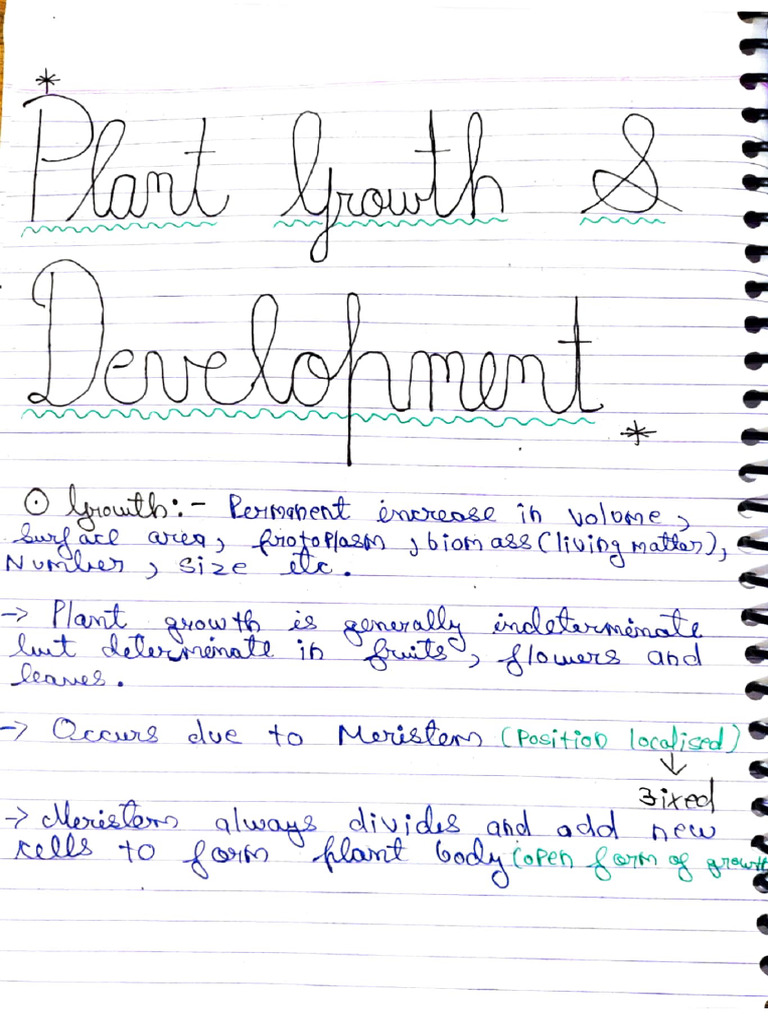 Plant Growth Hormones and Functions | PDF | Plants | Botany