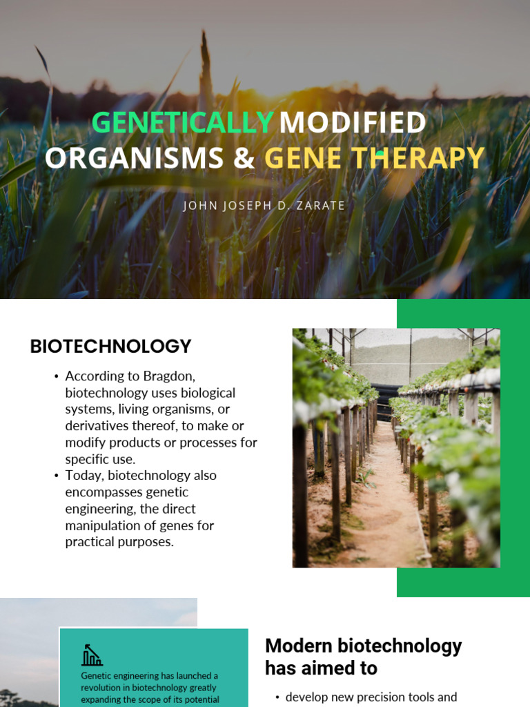 Module 12 - GMOs and Gene Therapy | PDF | Genetically Modified Organism ...