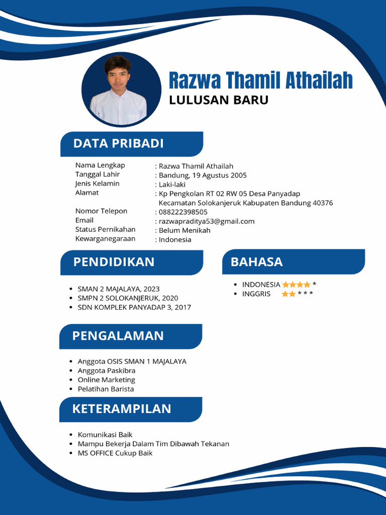 CV Curriculum Vitae | PDF
