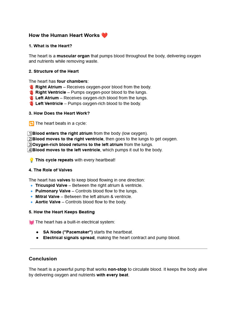 How The Human Heart Works | PDF