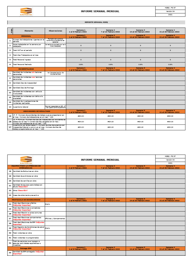 Hseq - Fo - 37 Informe SST - Formato | PDF