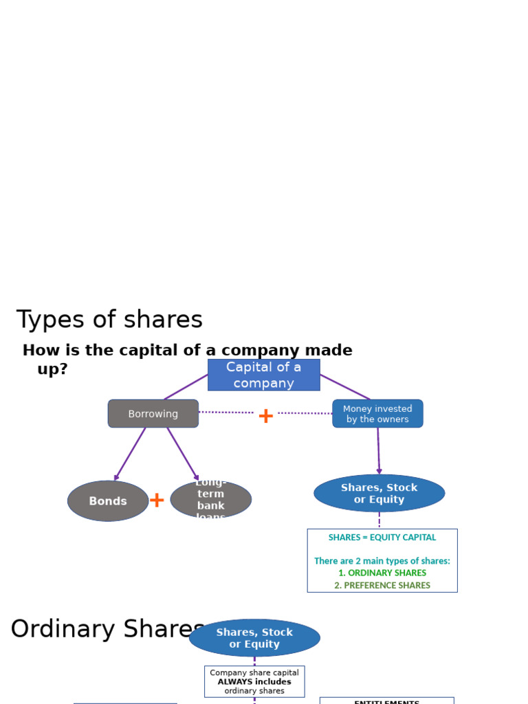Ordinary Preferred Share | PDF | Preferred Stock | Dividend