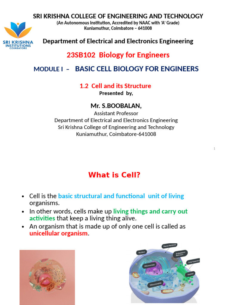 1.1.2 Cell Structure | PDF | Cell (Biology) | Cell Nucleus