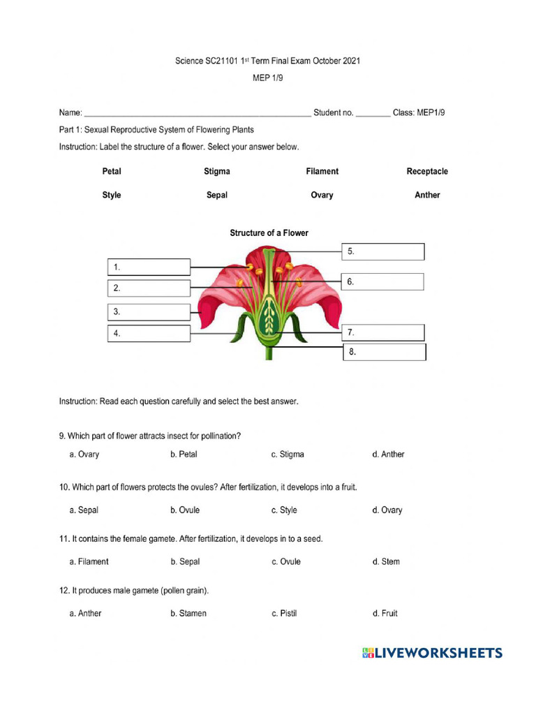 Worksheet 1480391 | PDF