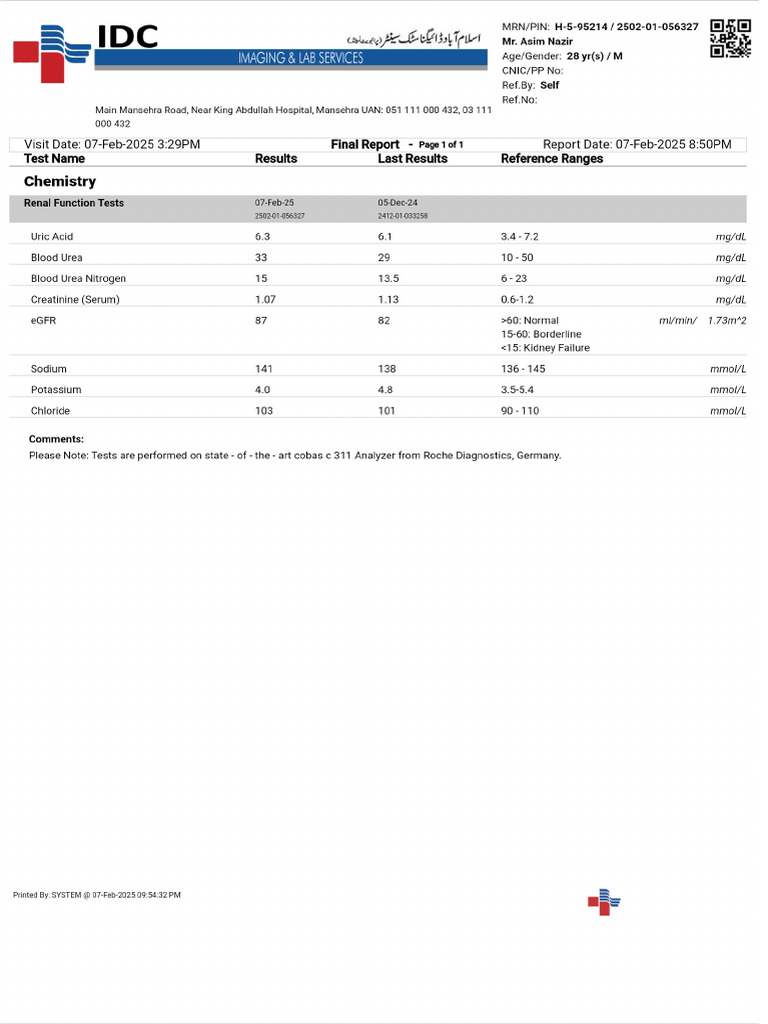Patient Report PDF | PDF