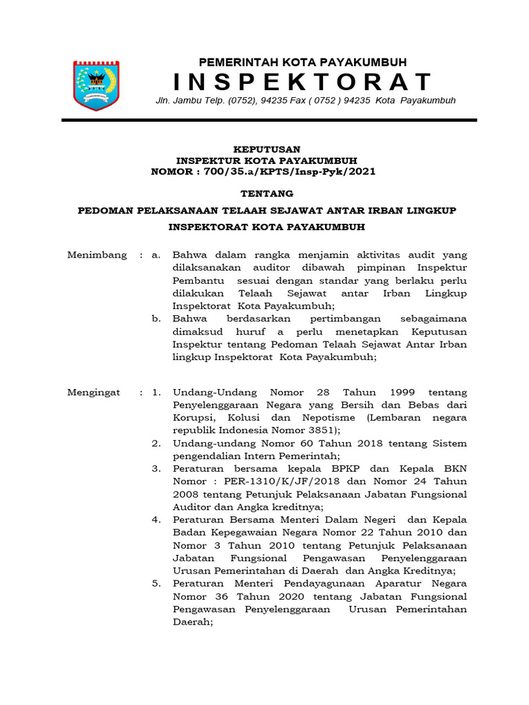 Pedoman Telaah Sejawat Irban | PDF