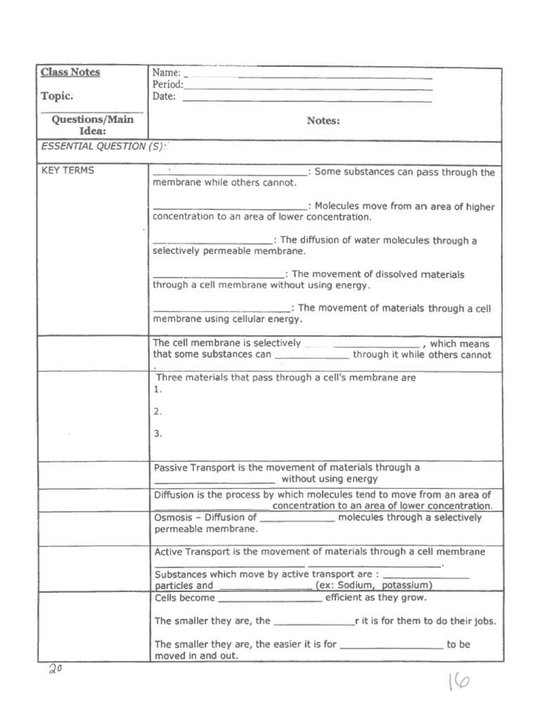Q.2 Interactive Science Notebook | PDF