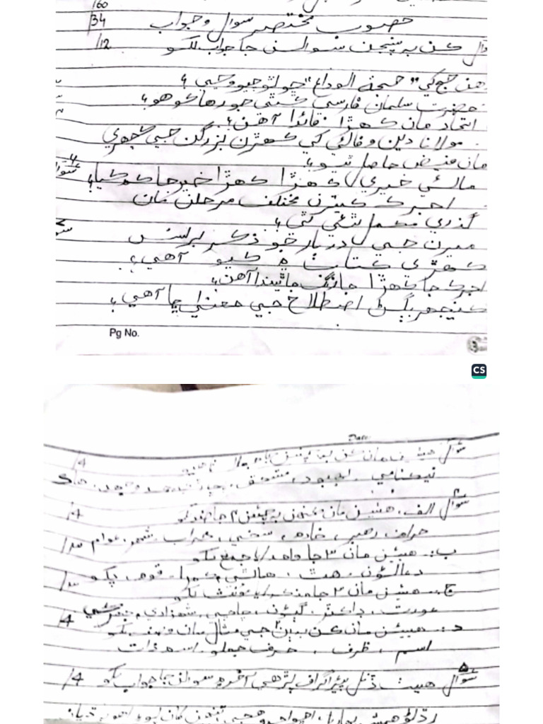 Sindhi Target Paper | PDF