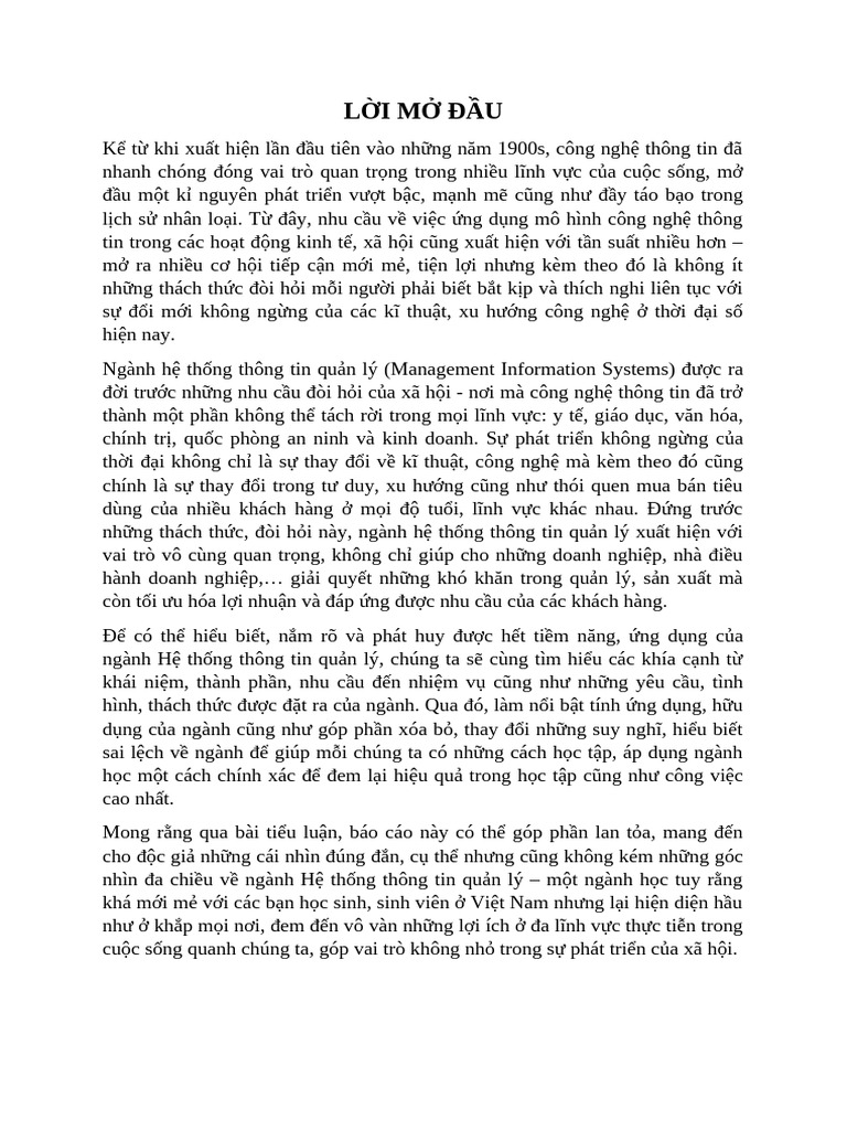 Tiểu luận HTTTQL | PDF