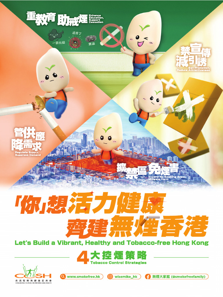 10 Tobacco Control Measures Information Brochure TC | PDF