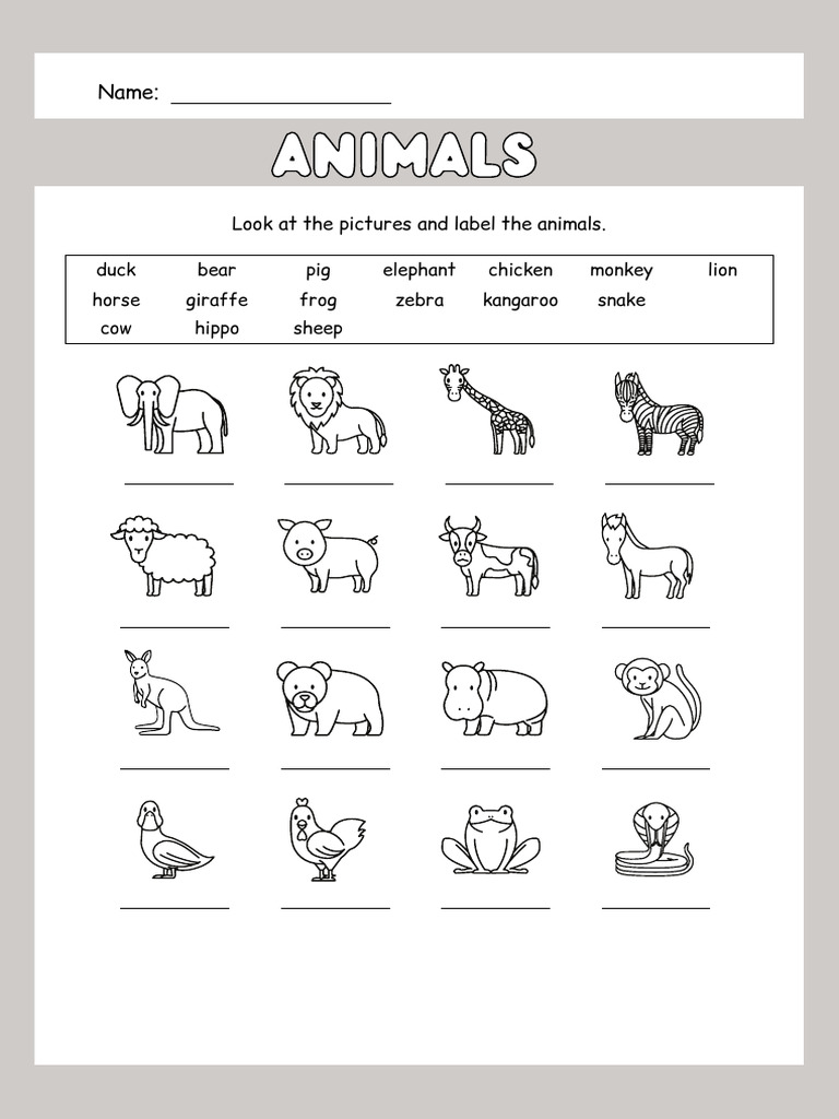Labeling Animals Activity Sheet | PDF