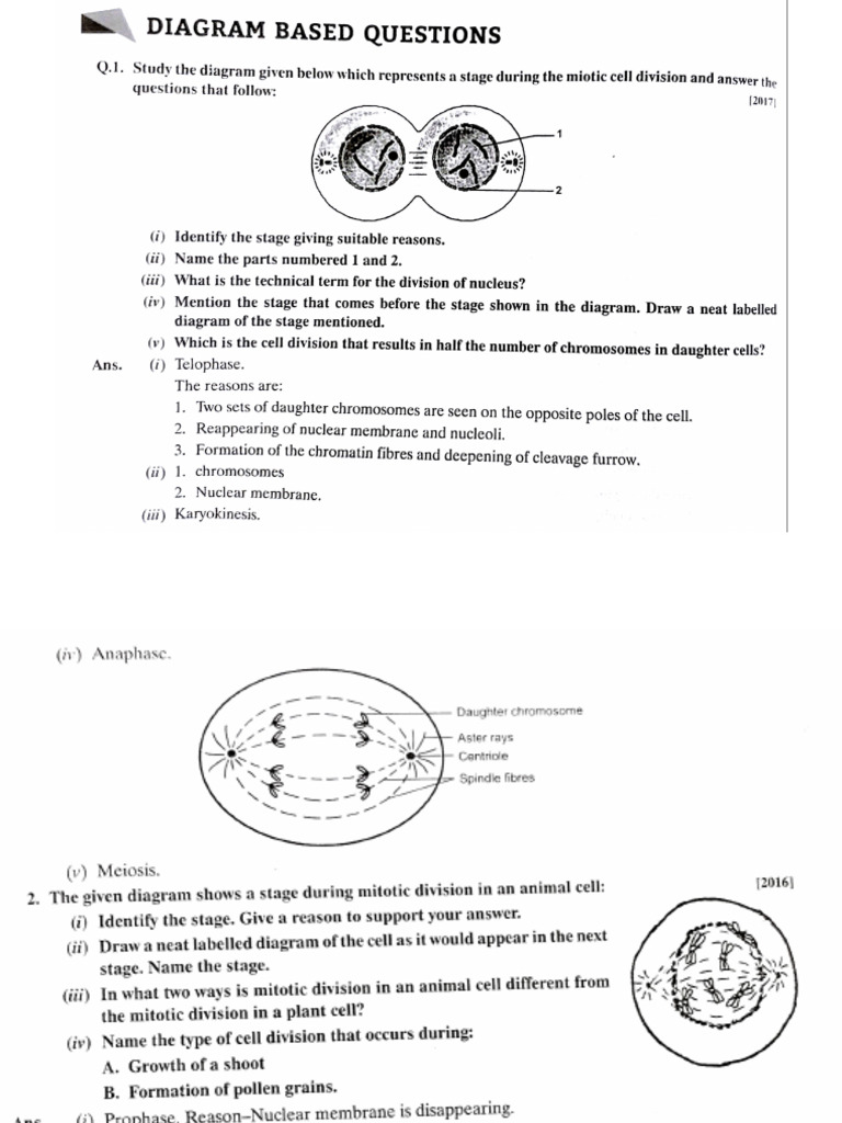 Bio-Diagram Based Q (Part-1) | PDF