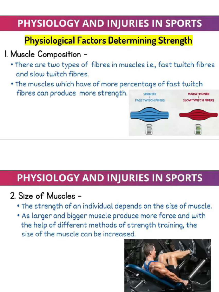 Physiology and Injuries in Sports One Shot Unit 7 Physical Education ...