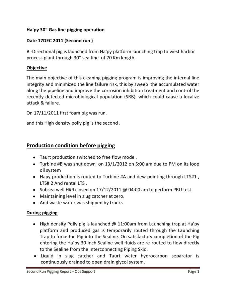 Pig Report | PDF