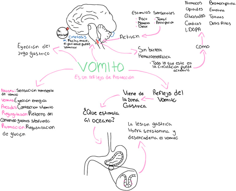 Vomito | PDF | Vómitos