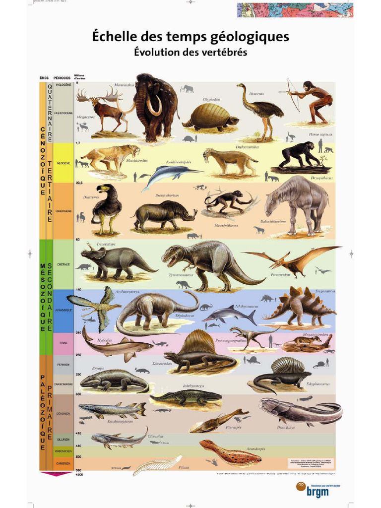 BRGM Echelle Dinos | PDF