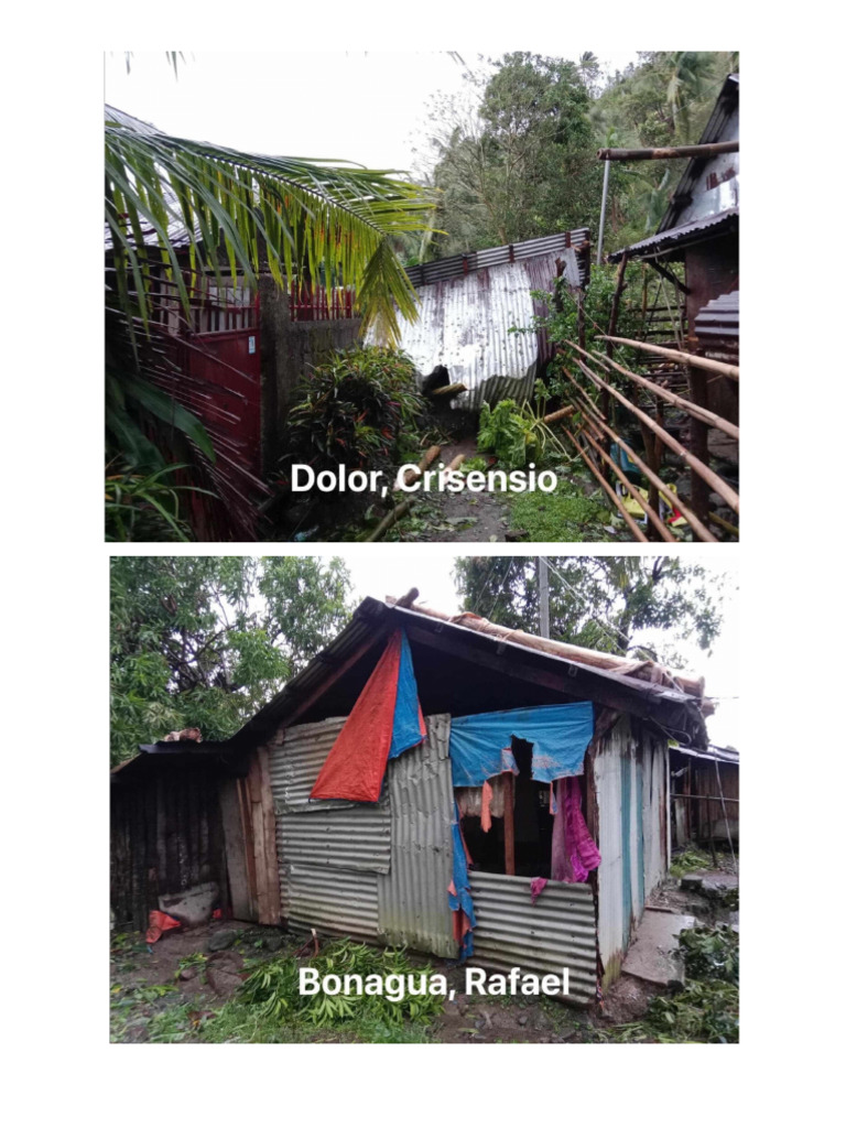 Pepito Damage Houses | PDF