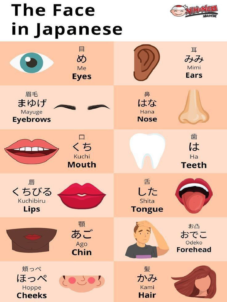 face in Japanese ? | PDF