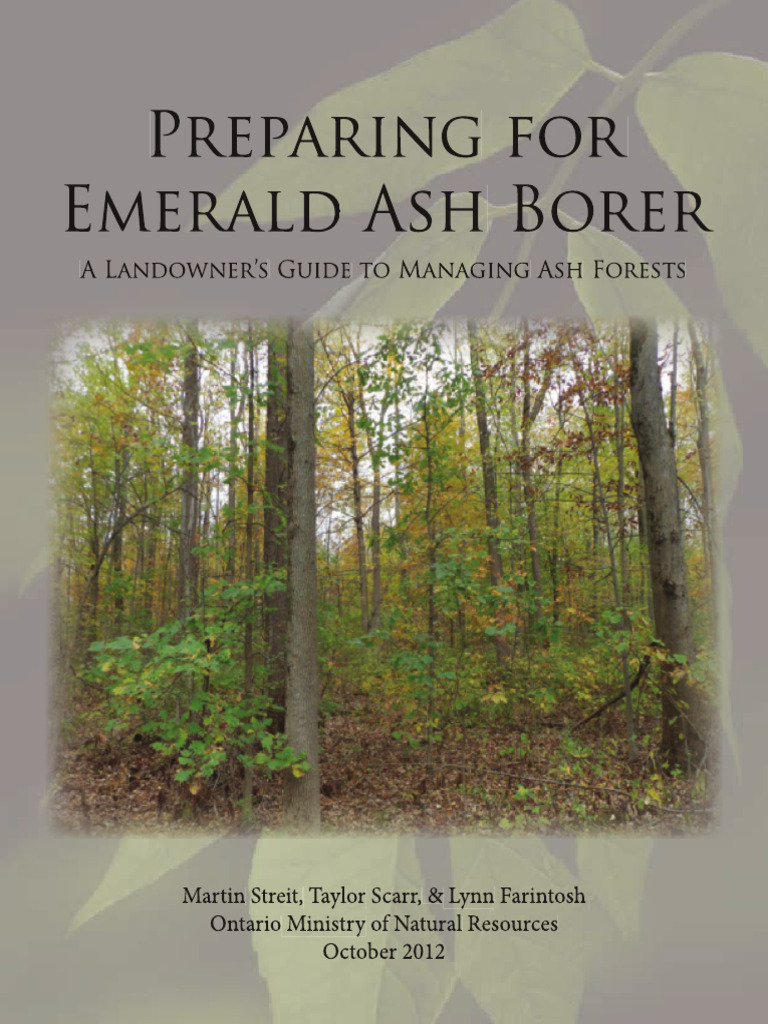 Ash Forest Management Guide | PDF | Trees