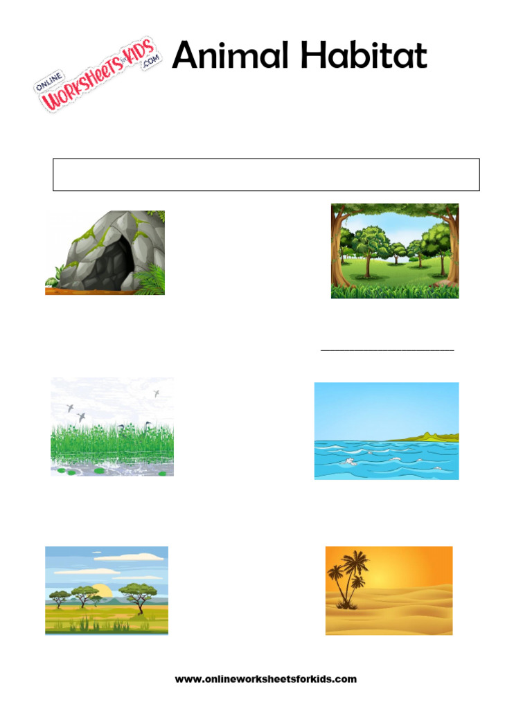 Animal Habitats Worksheets For Grade 1-2 | PDF