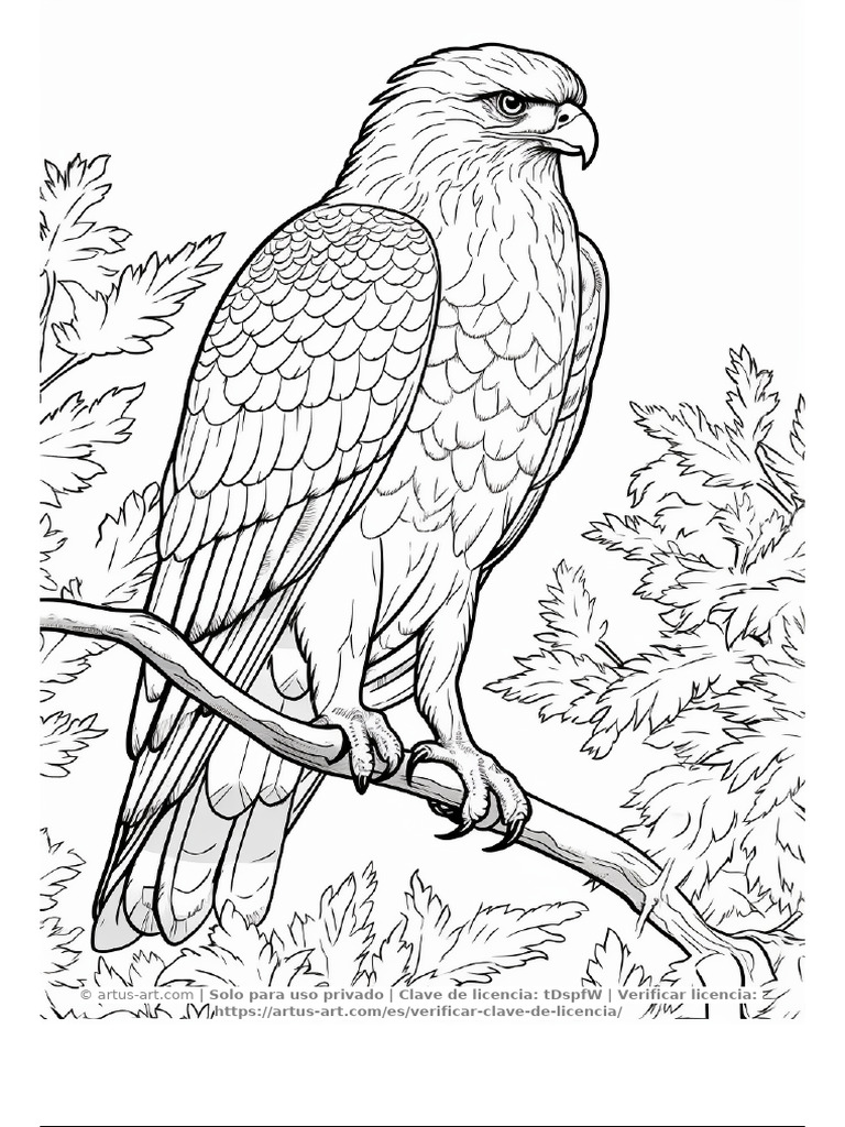 PC3 A1 Gina 20 para 20 Colorear 20 de 20 Un 20 Halc C3 B3 N 20 ...