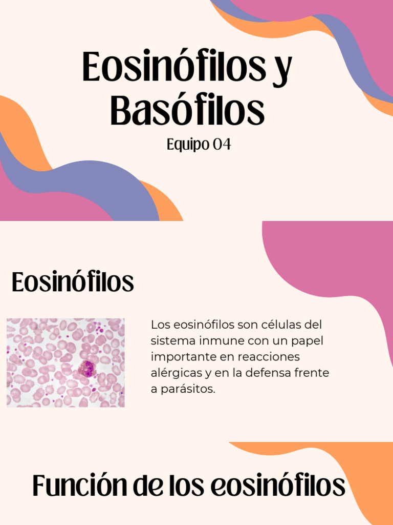 Basófilos y Eosinófilos - 20240320 - 230718 - 0000 | PDF | Sistema ...