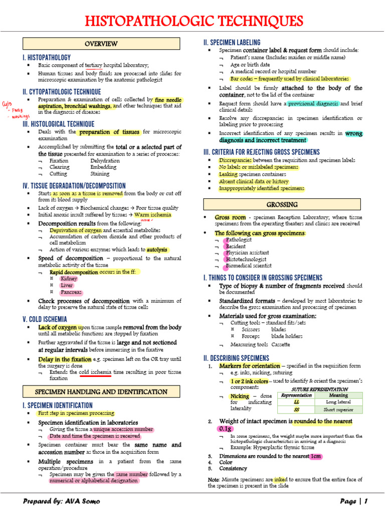 Histopath-Lab-Transes 241106 161348 | PDF | Fixation (Histology ...