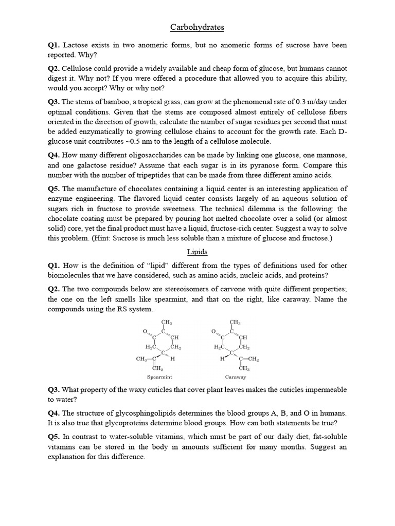 Carbohydrates and Lipids | PDF | Carbohydrates | Glucose